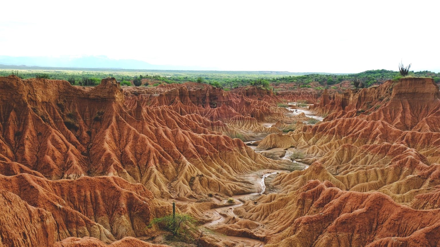 The Curse Causeless? | A Glimpse into Job’s Pain and the Search for ...