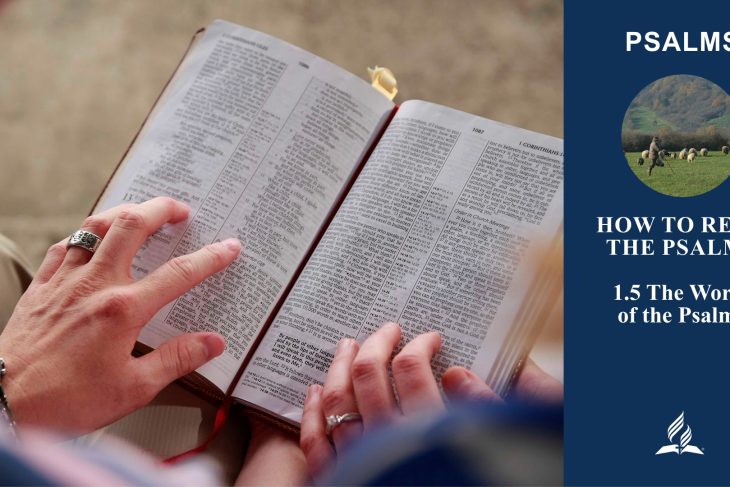 1.How to Read the Psalms – Mysteries of the Bible
